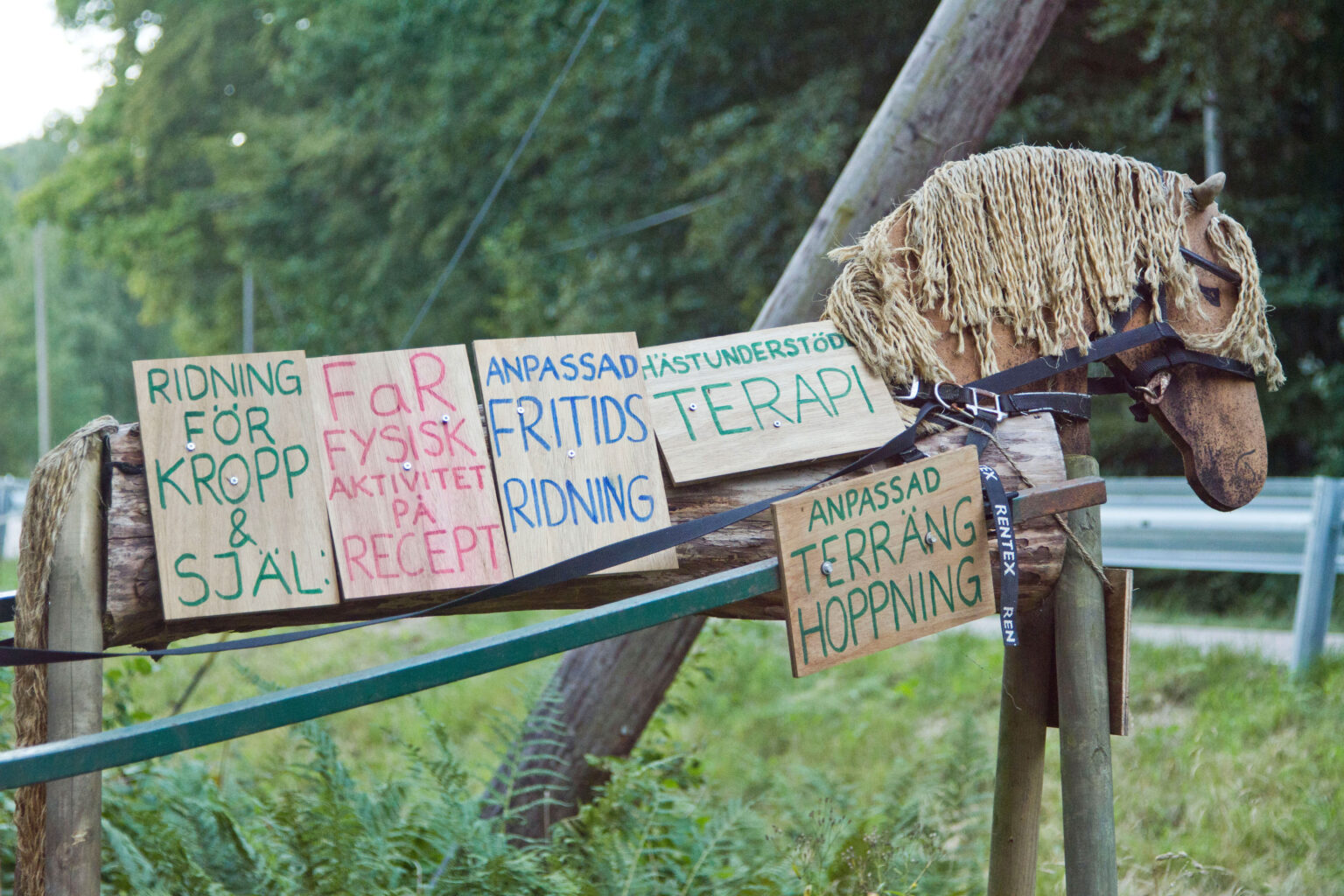 Hästunderstödda insatser – Hästnäringens Nationella Stiftelse (HNS)